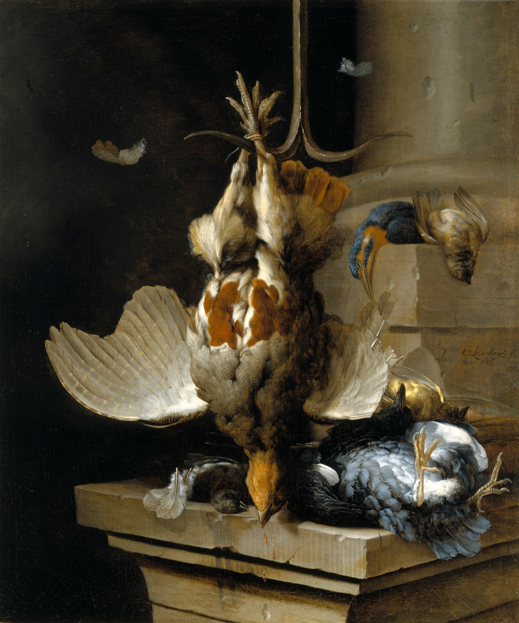 Still Life with dead Birds